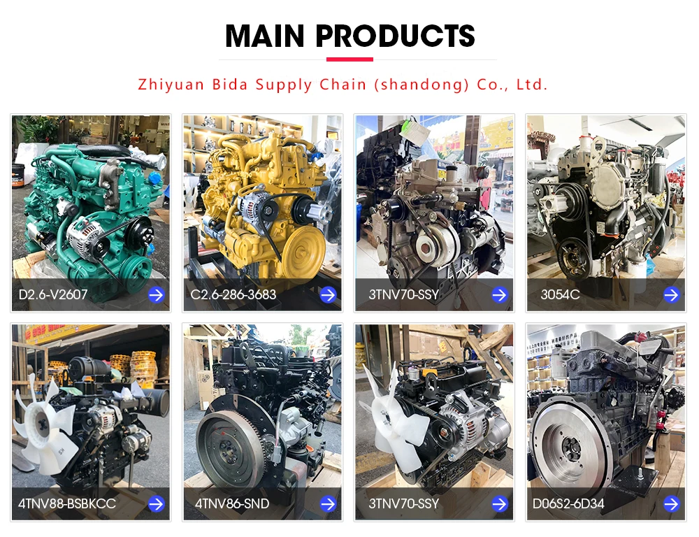 Genuine Sany Spare Parts - 60239999 Engine for Excavators