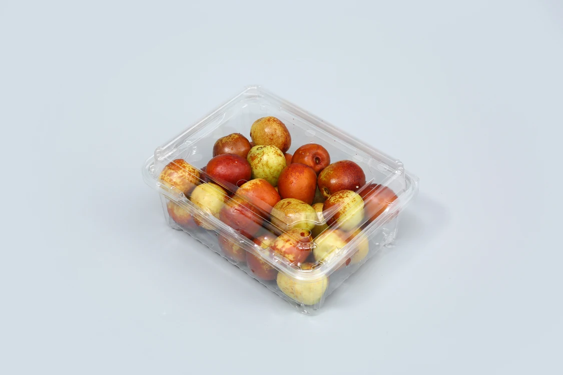 Wholesale Custom Disposable Clamshell Food Packaging Container Plastic ...