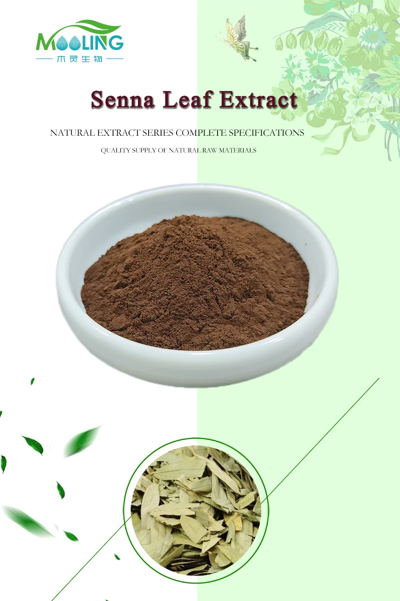 Wholesale Natural Water Soluble Senna Leaf Powder Senna Leaf Extract ...