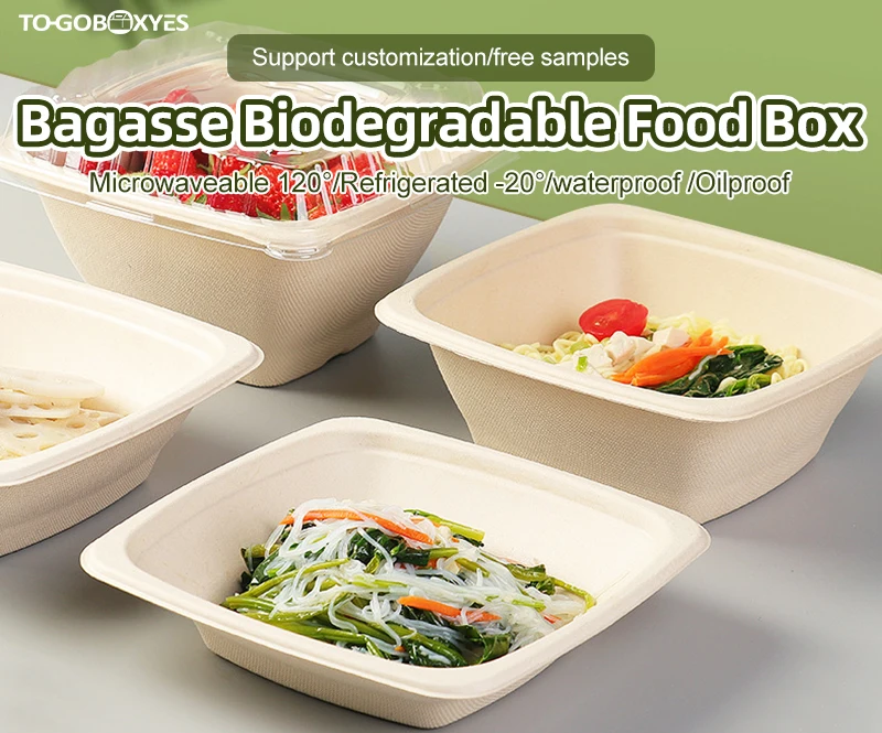 Compostable Dinnerware Set Biodegradable Sugarcane Bagasse Takeaway Food Container Soup Bowl ...