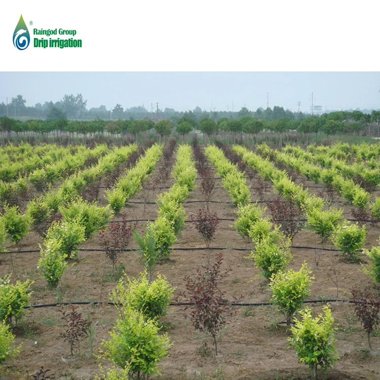 Durable and Efficient Drip Irrigation System for Farms