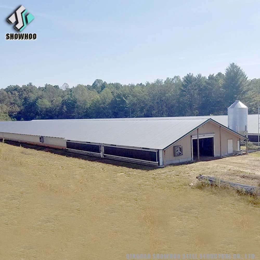 Structure Poultry Farm Shed Building - Chicken Coop Design