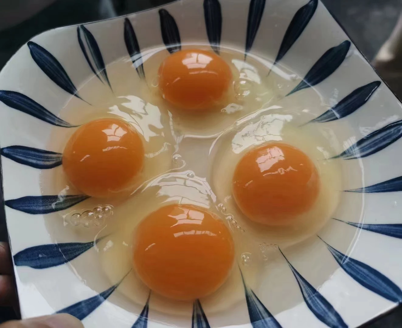 Alibaba.com: 2% compound premium animal feed powder, protein-rich, for ...