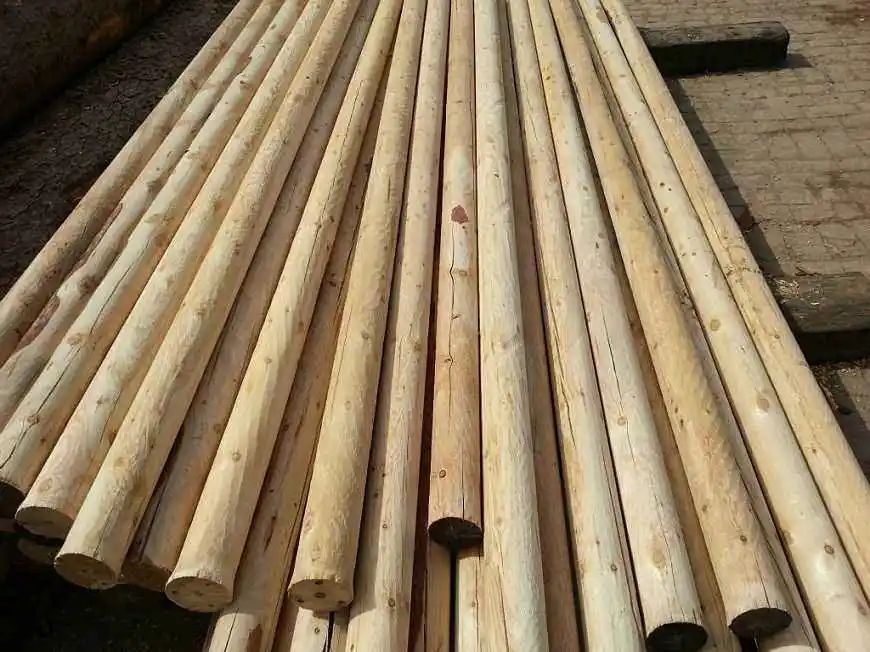 Construction Concrete Scaffolding Scaffold Slab Wall Column Formwork ...