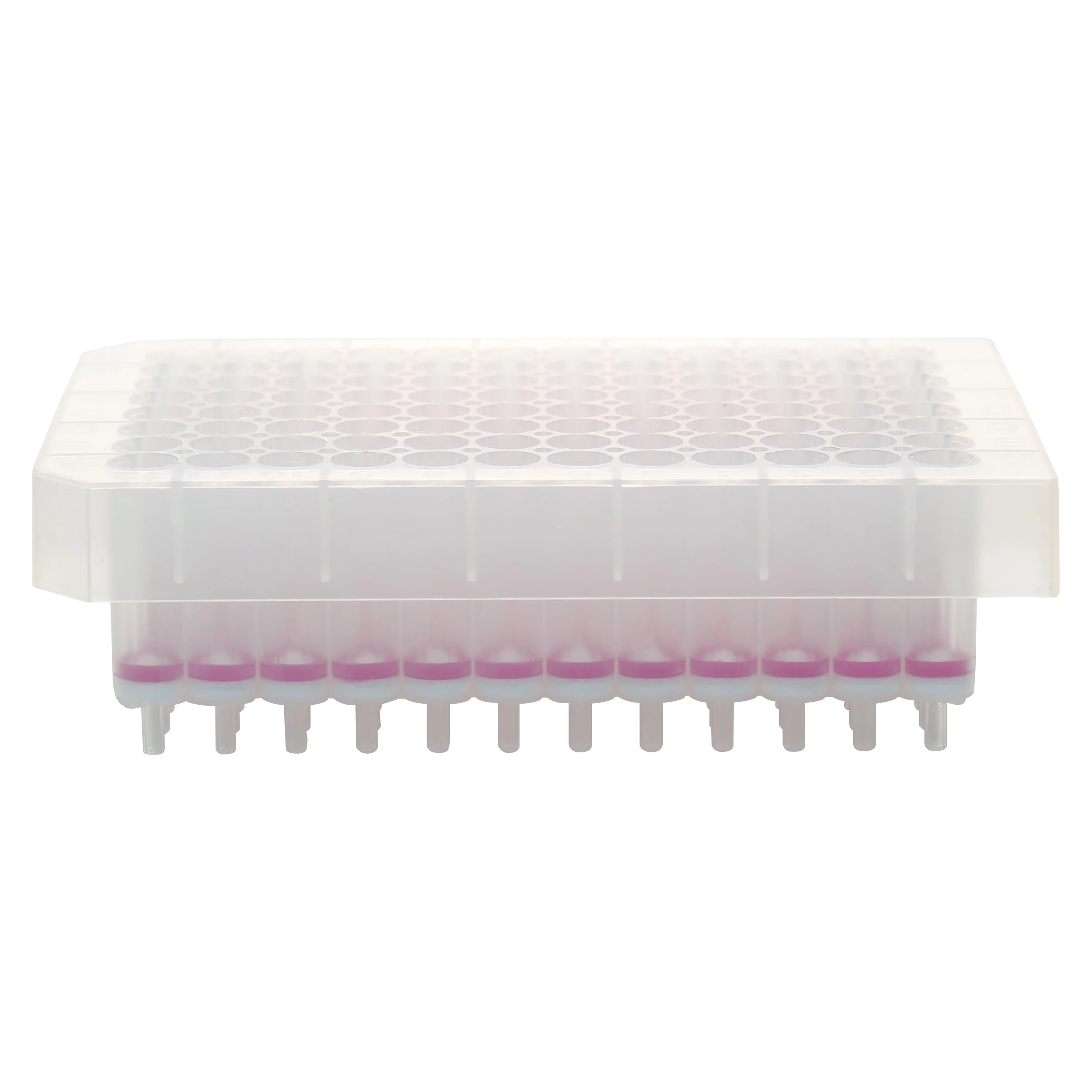 Plasmid Dna Extraction 96 Well Filter Plate Coli Plasmid Dna 96-well ...