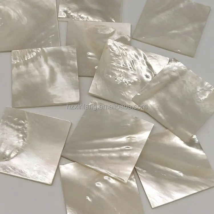 Natural 40mm Shell Sheets - Perfect for Jewelry Making