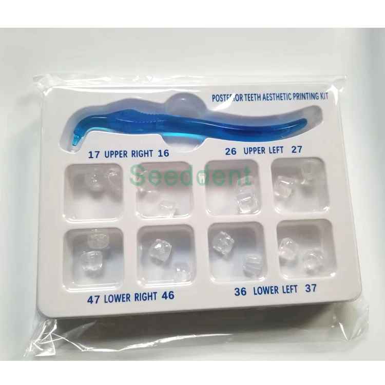 Dental Posterior Teeth Aesthetic Printing Kit Tooth Restoration Filling ...