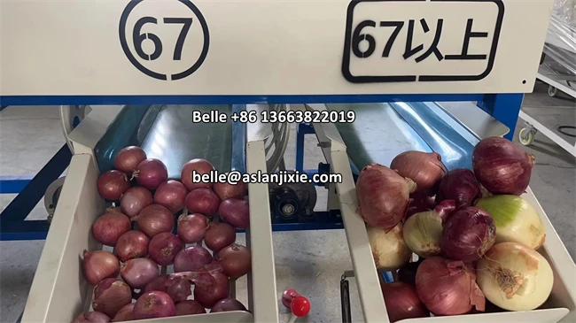 Stainless Steel Tomato Garlic Round Onion Sorting Machine Potato Onion ...