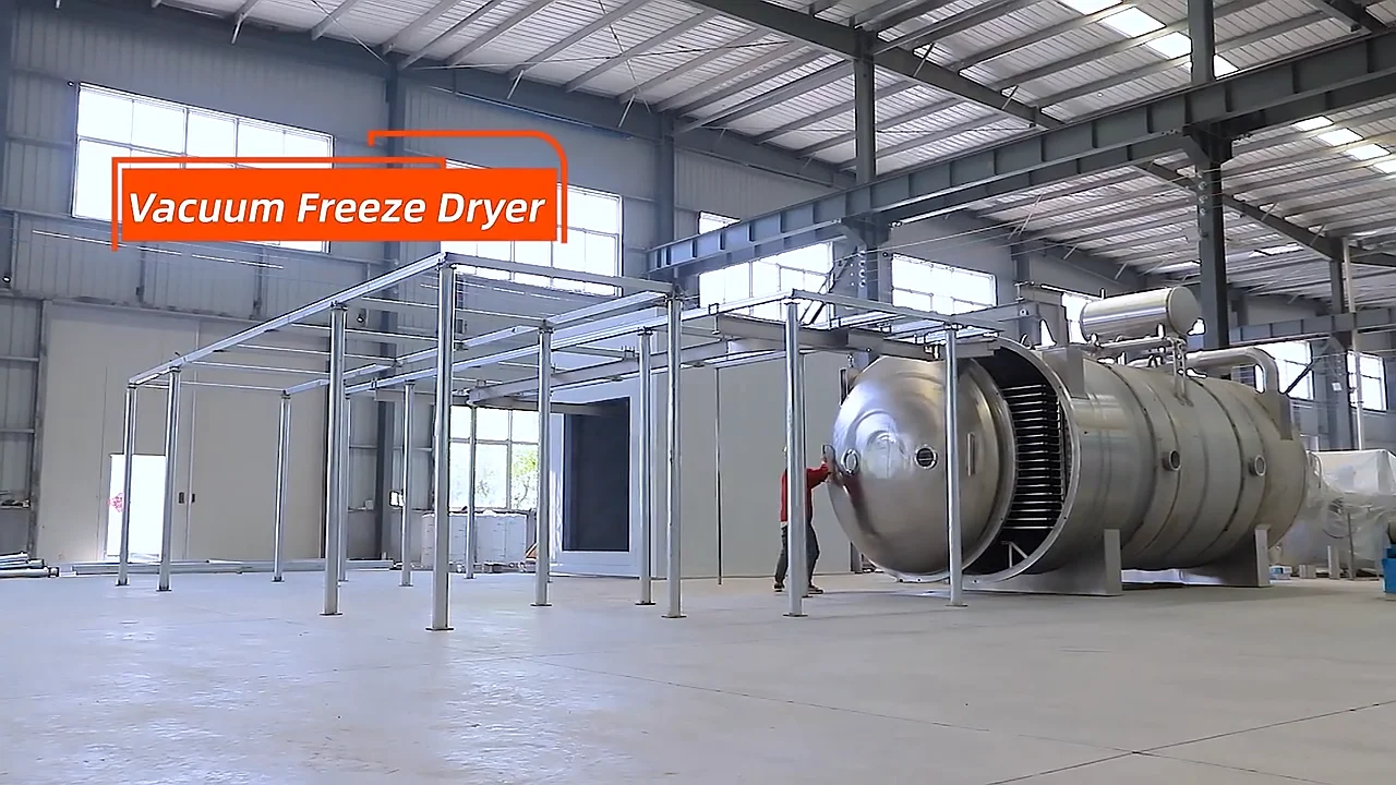Effective Freeze Dryer Commercial Freeze Drying Machine Food Processing ...