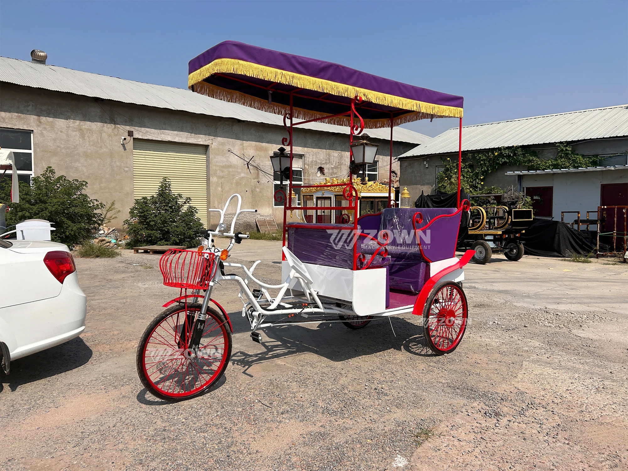 3-wheels Leisure Tricycle/Sightseeing Bicycle in Tourist Attractions ...