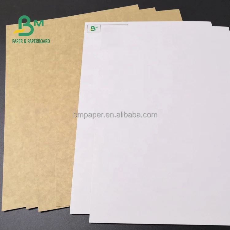 250gsm 300gsm CCKB Paper - Food Safe & Anti-Curl Properties