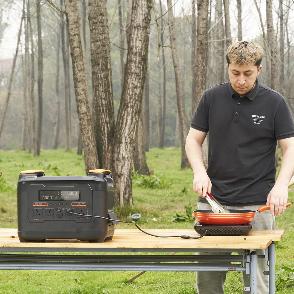 Newsmy Dc Ac Output Lmfp 48.75v 42ah 2400w 220v 50hz/60hz Super Charing ...