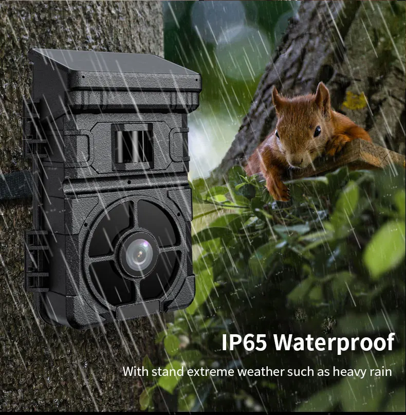 Hdking Dual Solar Power Outdoor Security Street Wireless Integrated ...