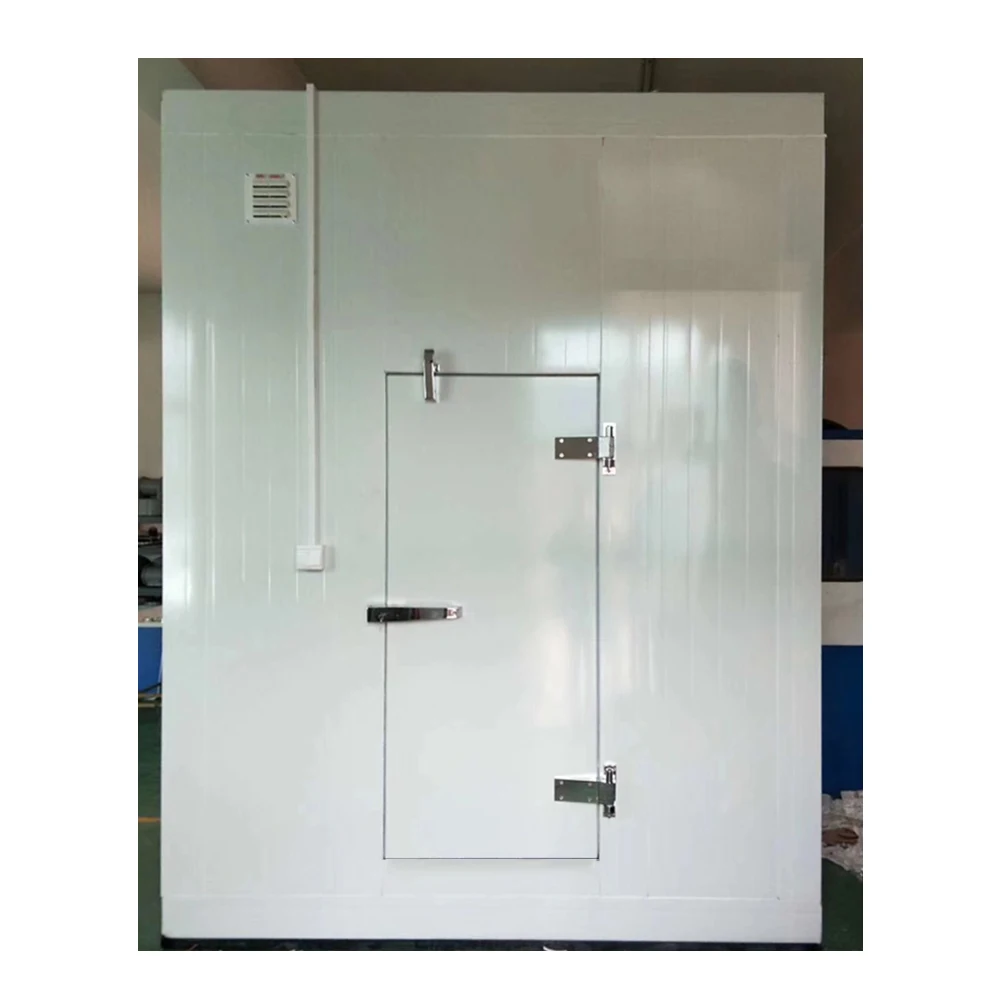 Cold Storage Manual Sliding Special Platform Hinged Door For Cold Room ...