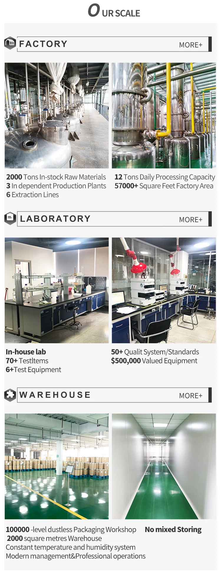 Wholesale Radix Saussurea Lappa Root Extract Costus Extract - Buy ...