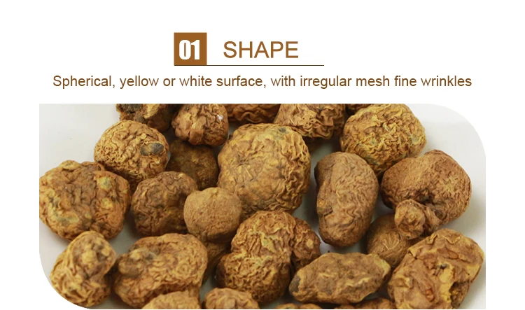 100% Pure Natural Rhizoma Crydalis Tuber For Herb Corydalis Tuber Tea ...