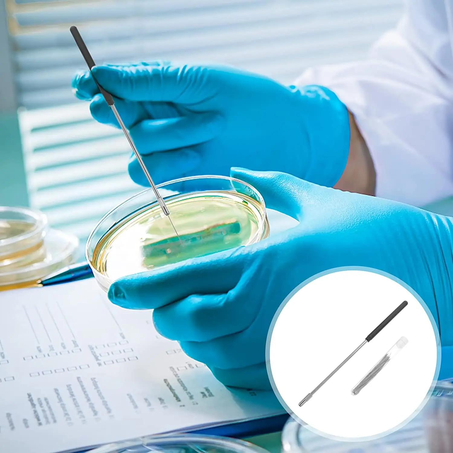 Stainless Steel Reusable Inoculating Loop & Needle - OEM | Wholesale