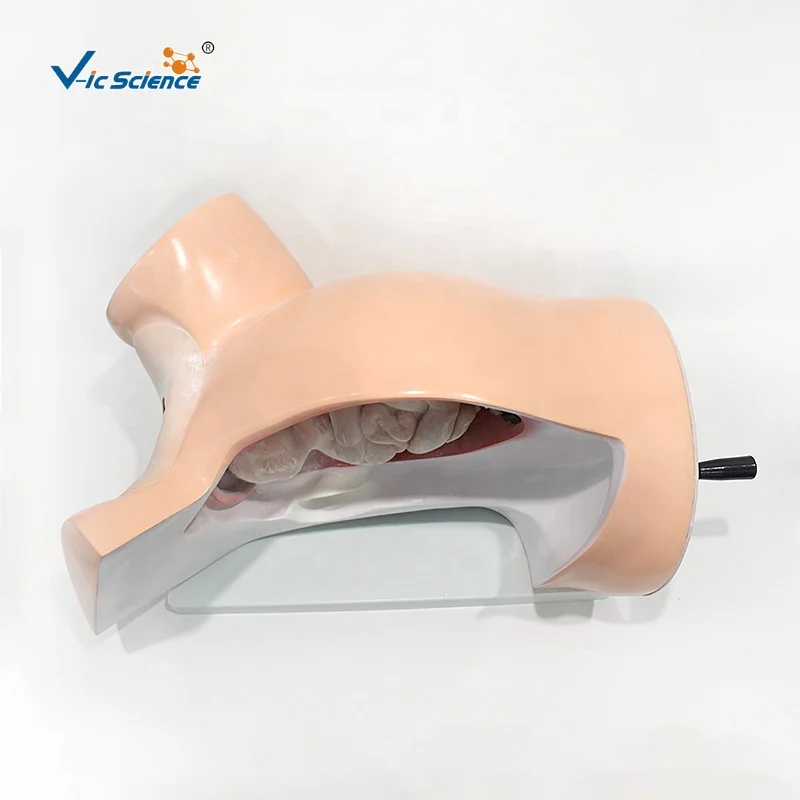 Nursing Manikin Course of Delivery Model for Medical Education