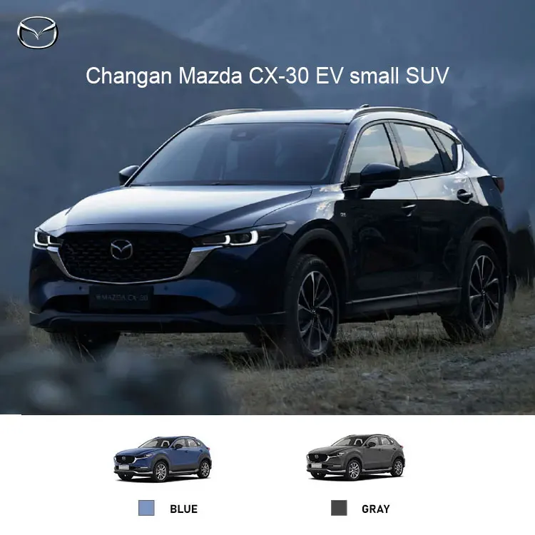 2021 2022 Ford Mazda Cx-30 Ev Changan 100% Electric Cars Comfortable Version Pure Exclusive ...
