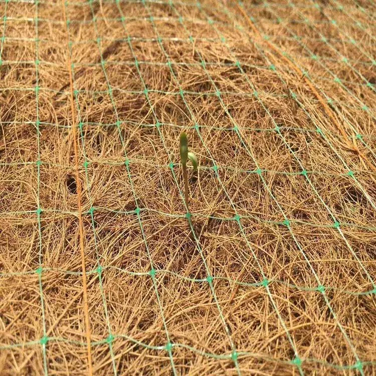 Coir Mesh Coir Matting Erosion Control Coconut Erosion Control Blanket ...