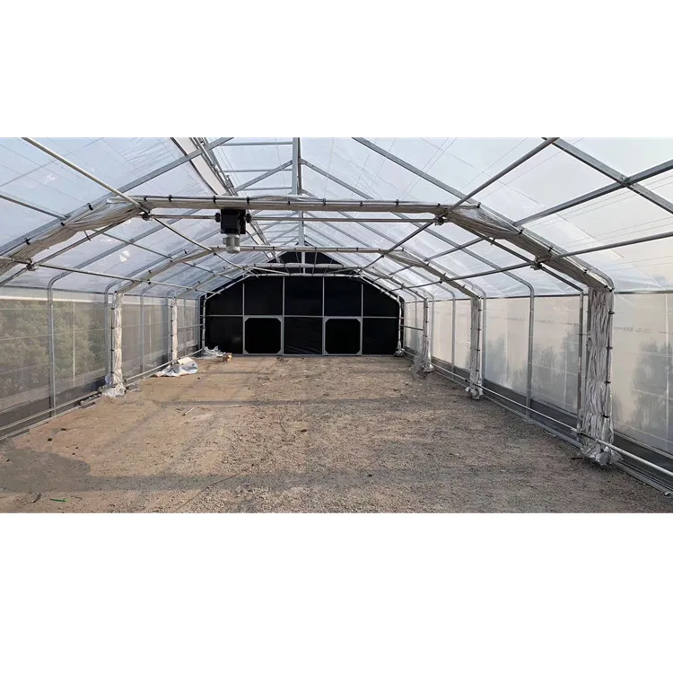 Galvanized Steel Frame Single Span Pe Film Greenhouse For Agriculture ...