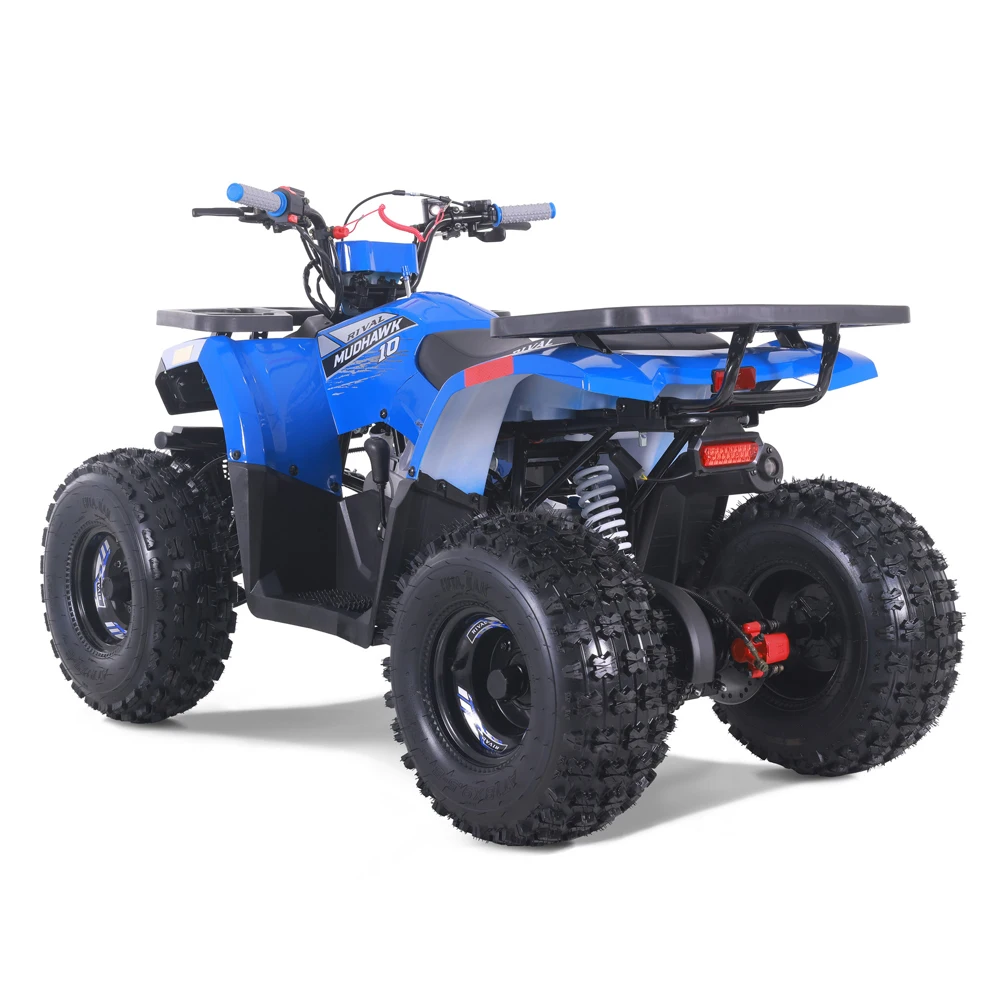 Tao Motor 2024 New Cheap Farm ATV Automatic Chain DriveQuad Kids 110cc ...