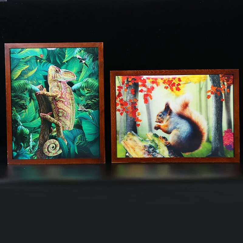 3d Lenticular Art Wall Map Picture/3d Lenticular Usa Map - Buy 3d ...