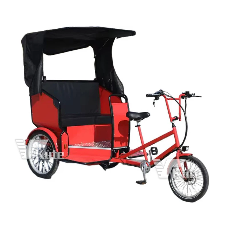 City Sightseeing Electric Assisted Passenger Transport Tricycle ...