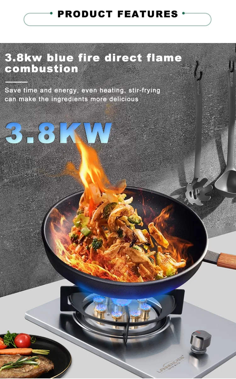 Portable Single burner Biogas Stove Energy-Saving Stainless Steel ...