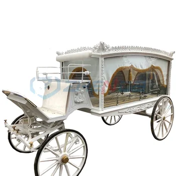 Antique Horse Drawn European Hearse For Sale Victorian Glass Covered ...