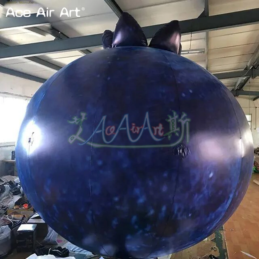 Alibaba.com: Giant 5m Blueberry Inflatable Balloon Model, Oxford ...