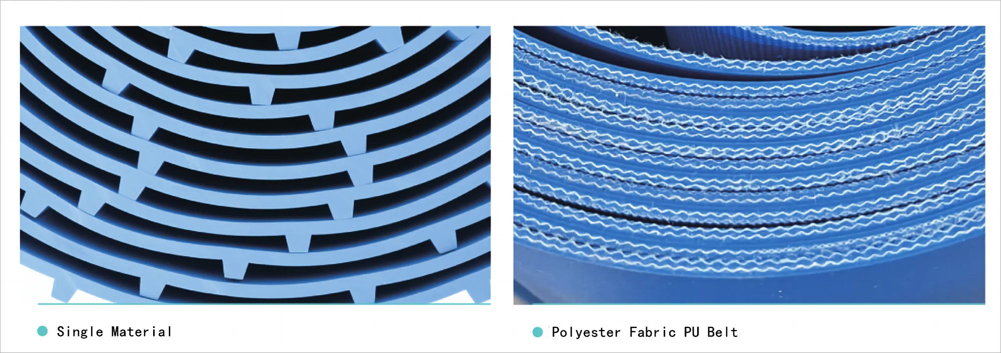 Homogeneous Belt - Cleandrive Belt - Positive Drive Conveyor