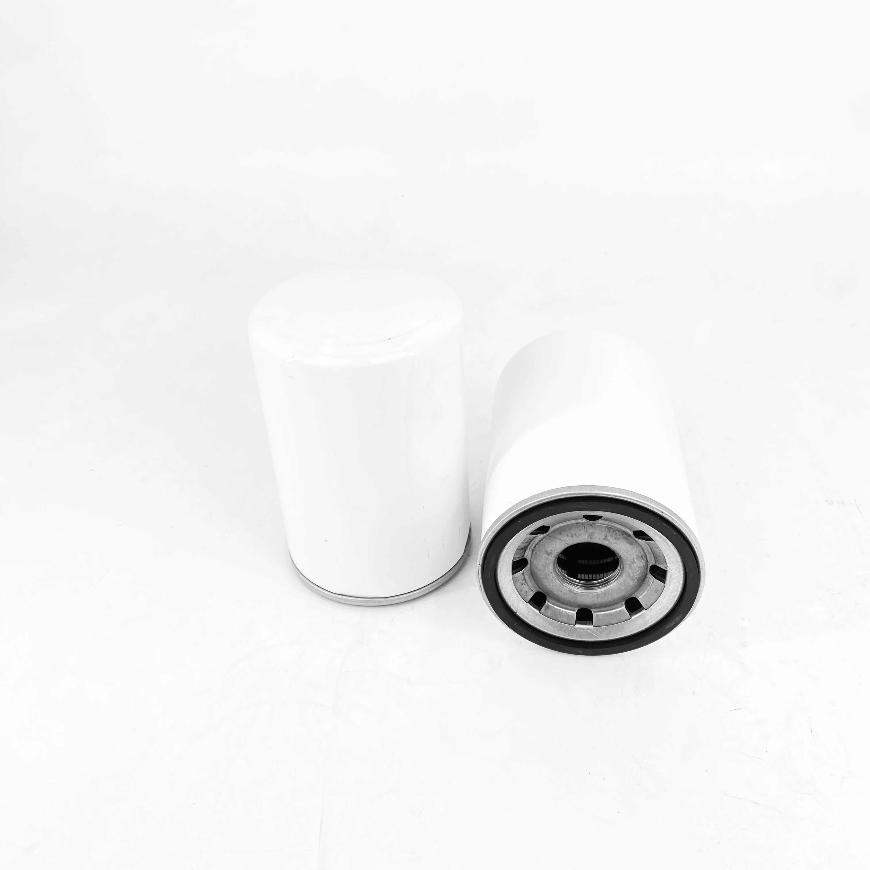 Heavy Truck Diesel Engine Part Fuel Filter 7423880097 for RENAULT