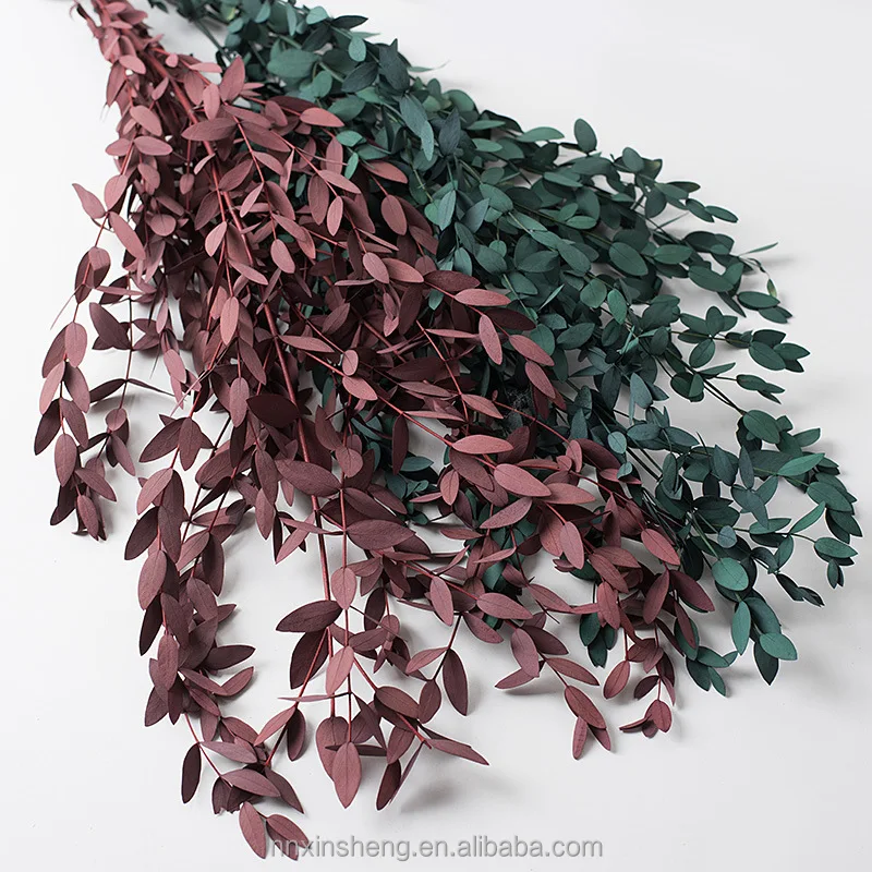 Small Leaves Eucalyptus Preserved Green Leaves Eternal Preserved Leafs ...