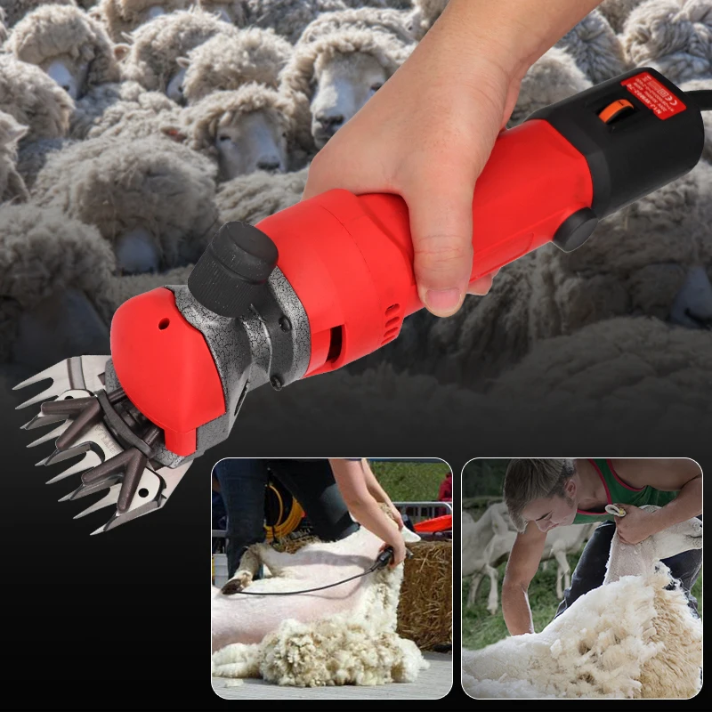 Professional Hair Clipper Rechargeable Clippers and Trimmers for Cow ...