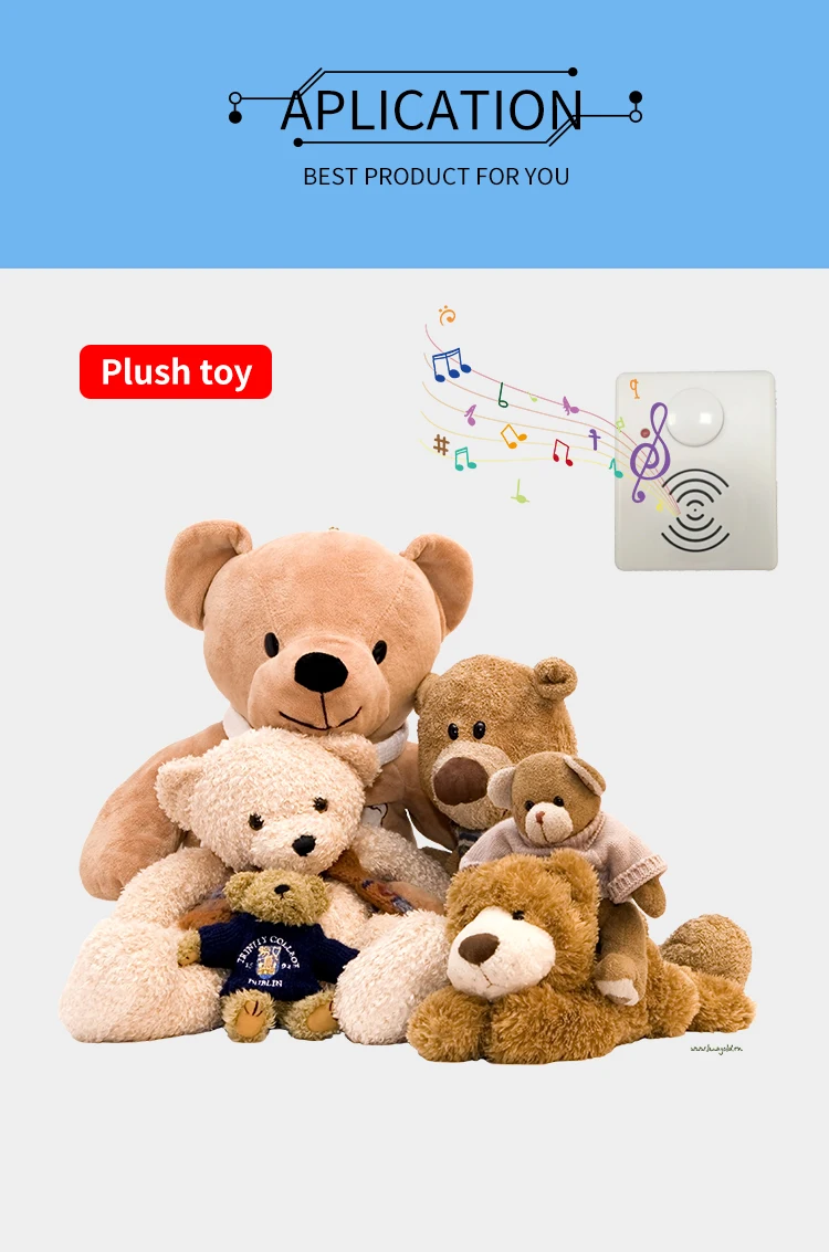 Custom Recording Voice Box Programmable Usb Rechargeable Sound Module ...