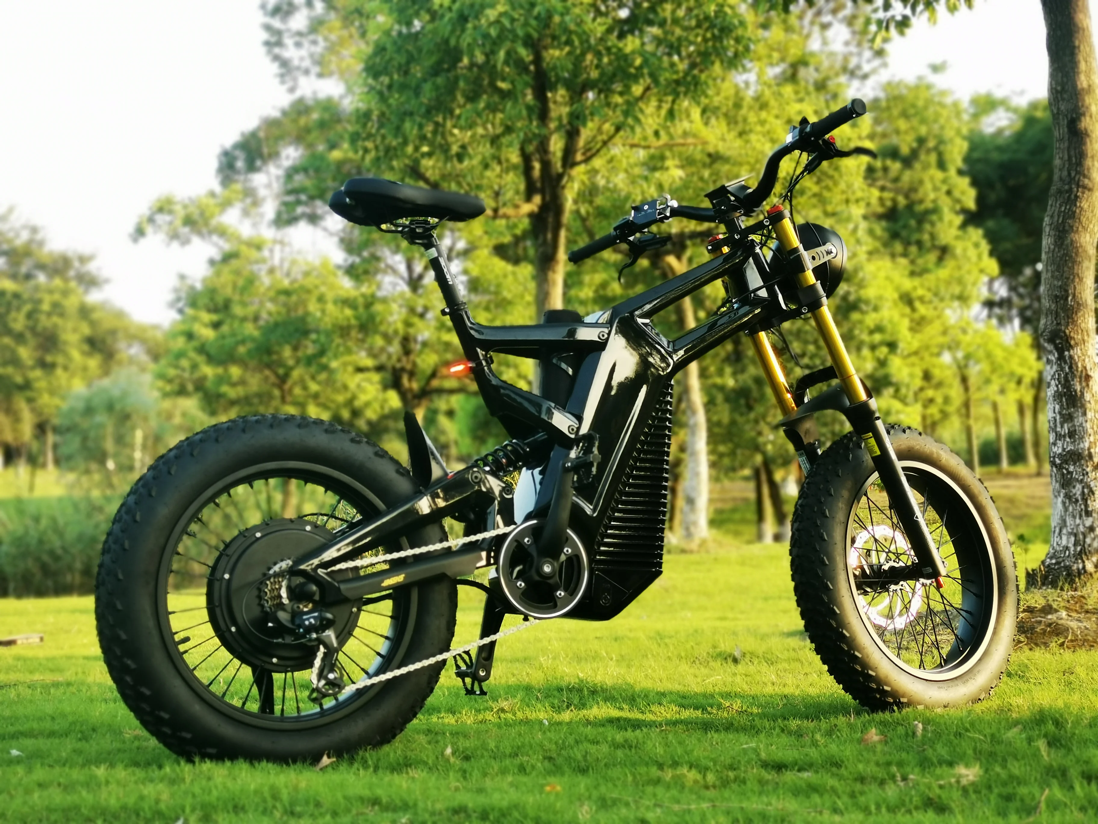 Full Suspension 20 Inch Adult Electric Bike – Rear Hub Motor, 7-Speed ...