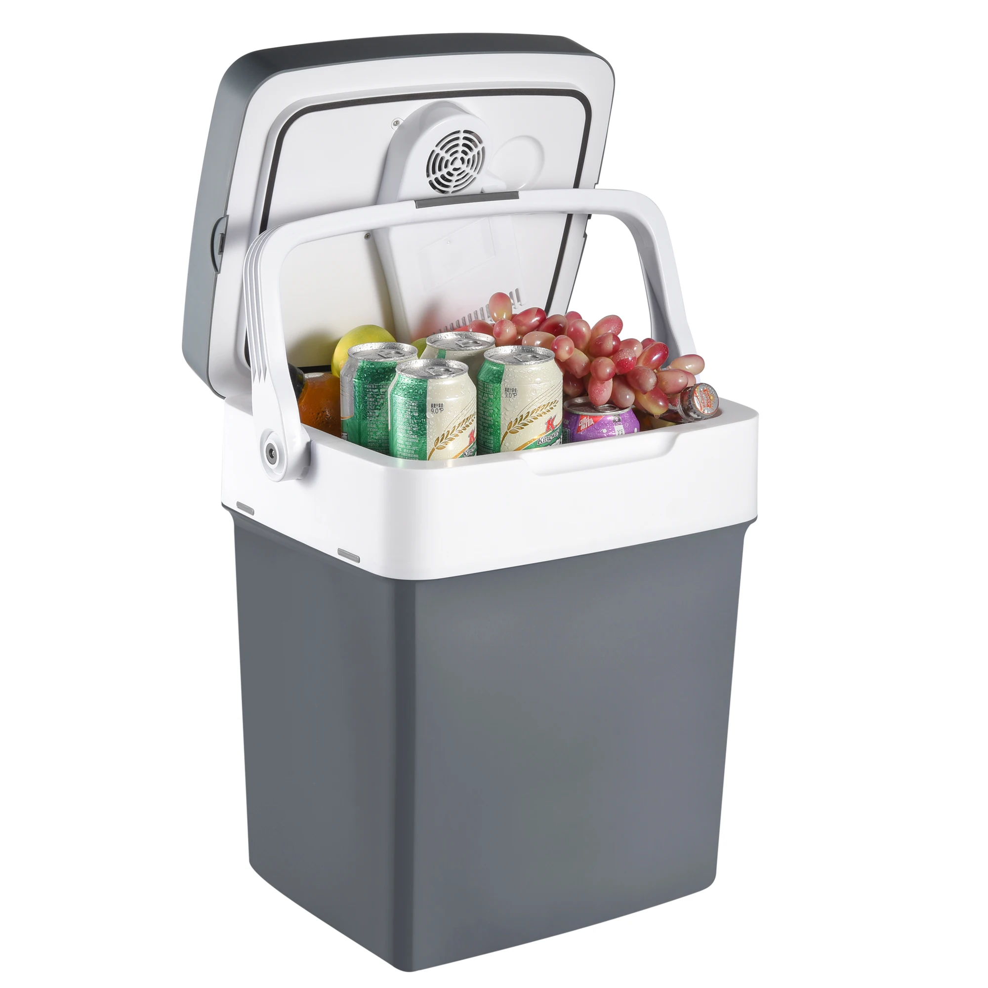 29l Electric Cool Box Mini Camping Car Freezer Fridge 12v 24v Dc ...