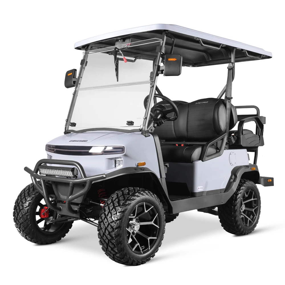 Tao Motor 2024 Electric Golf Carts - High Quality & Utility