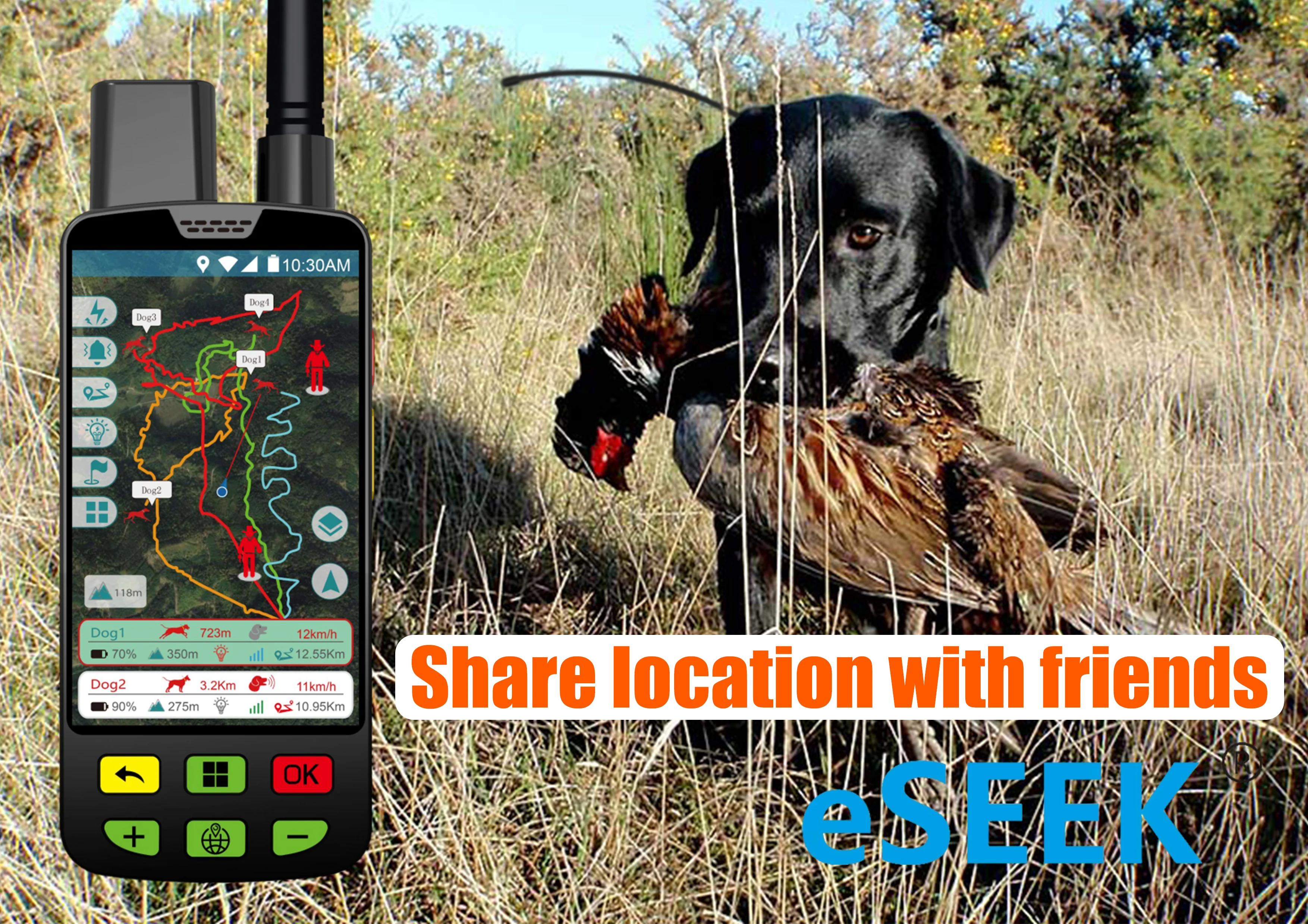 Garmin Alpha 300/300i GPS Tracker & Training System for Pets