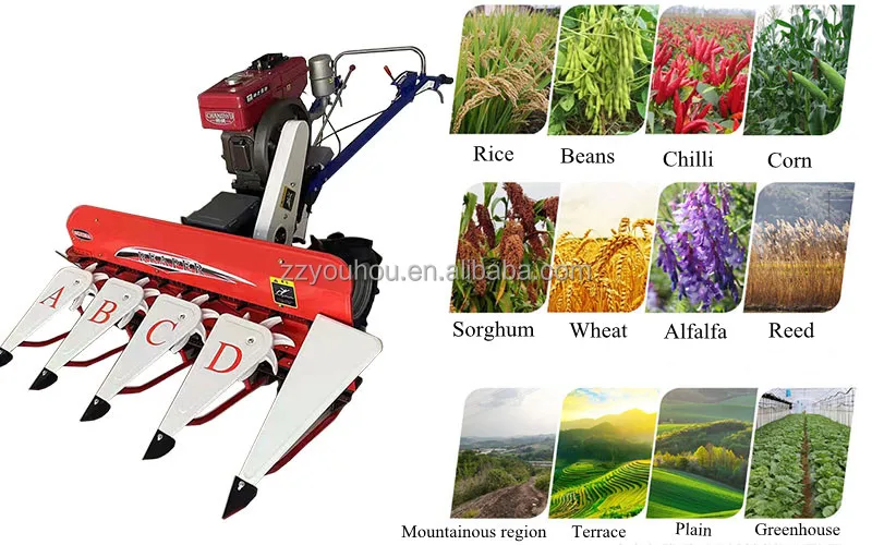 Swather Cutter Tractor Machine Rosemary Harvesting Machine Cut Purple ...