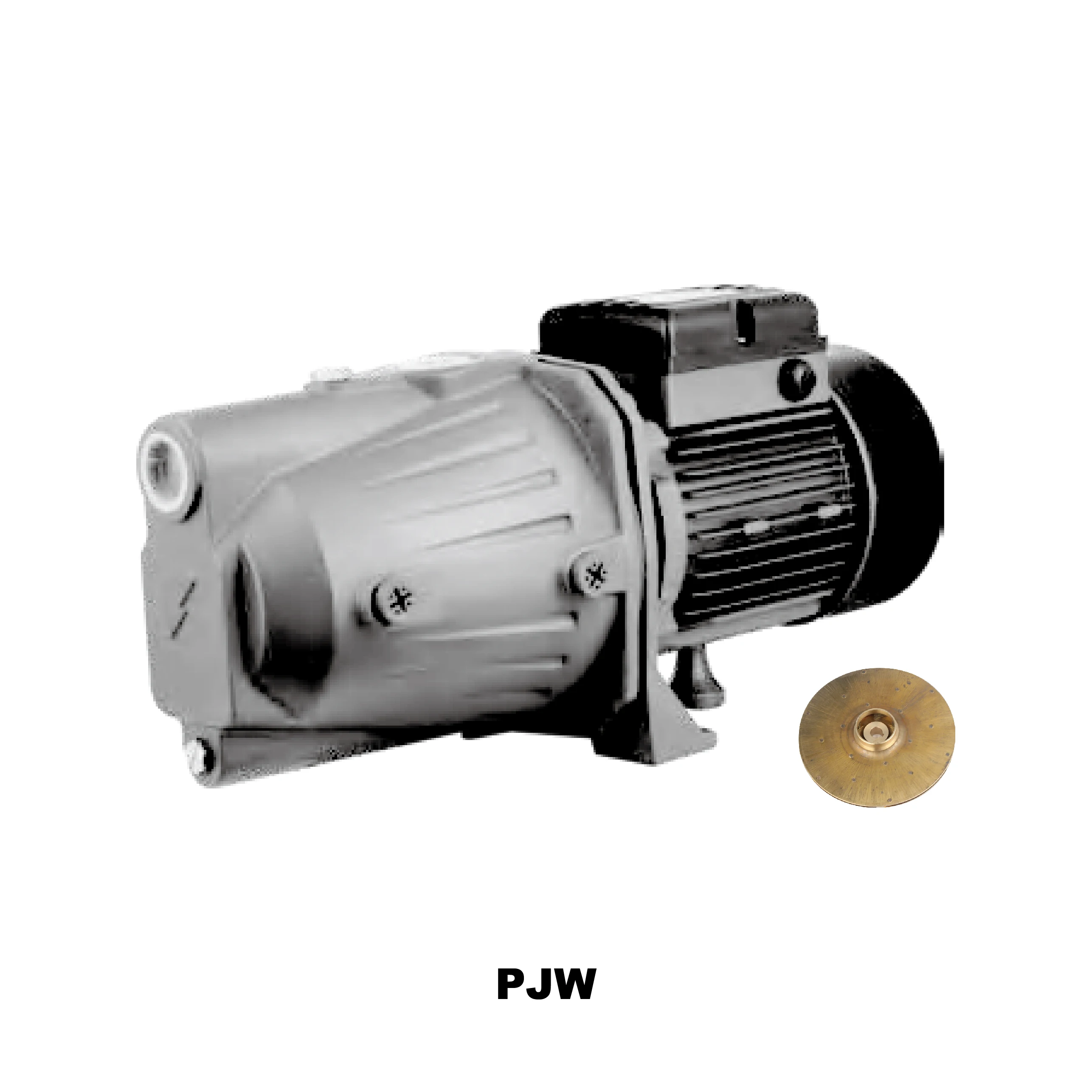 High Pressure 1hp Self Priming Jet Water Pump 100 Jet Pump For ...