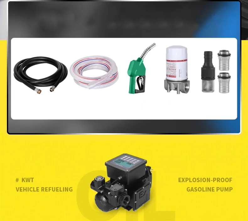 Cavitt 12V/24V/220V Quantitative Explosion-proof Pump Portable Fuel Pump Quantitative Flow Meter ...