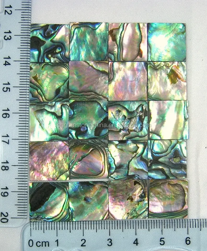 Abalone Shell Tiles - Paua and Abalone for Jewelry Design
