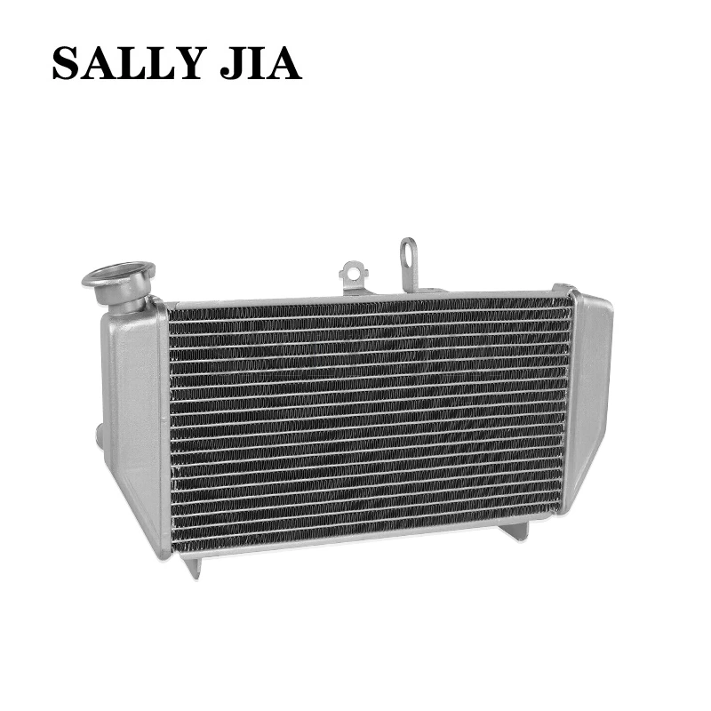 Motorcycle Water tank Radiator Water tank Net Is Applicable to Yamaha ...