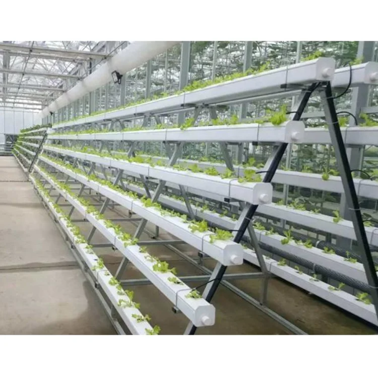 Wholesale NFT Hydroponic Systems - Efficient Indoor Growth