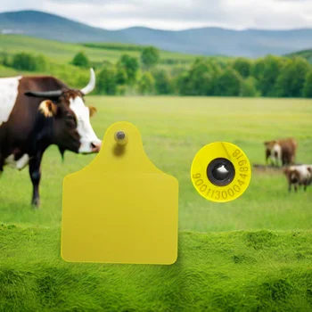 Custom Iso11784/5 Fdx-b Rfid Long Range Ear Tag Cattle Pig Cow Goat Tpu ...