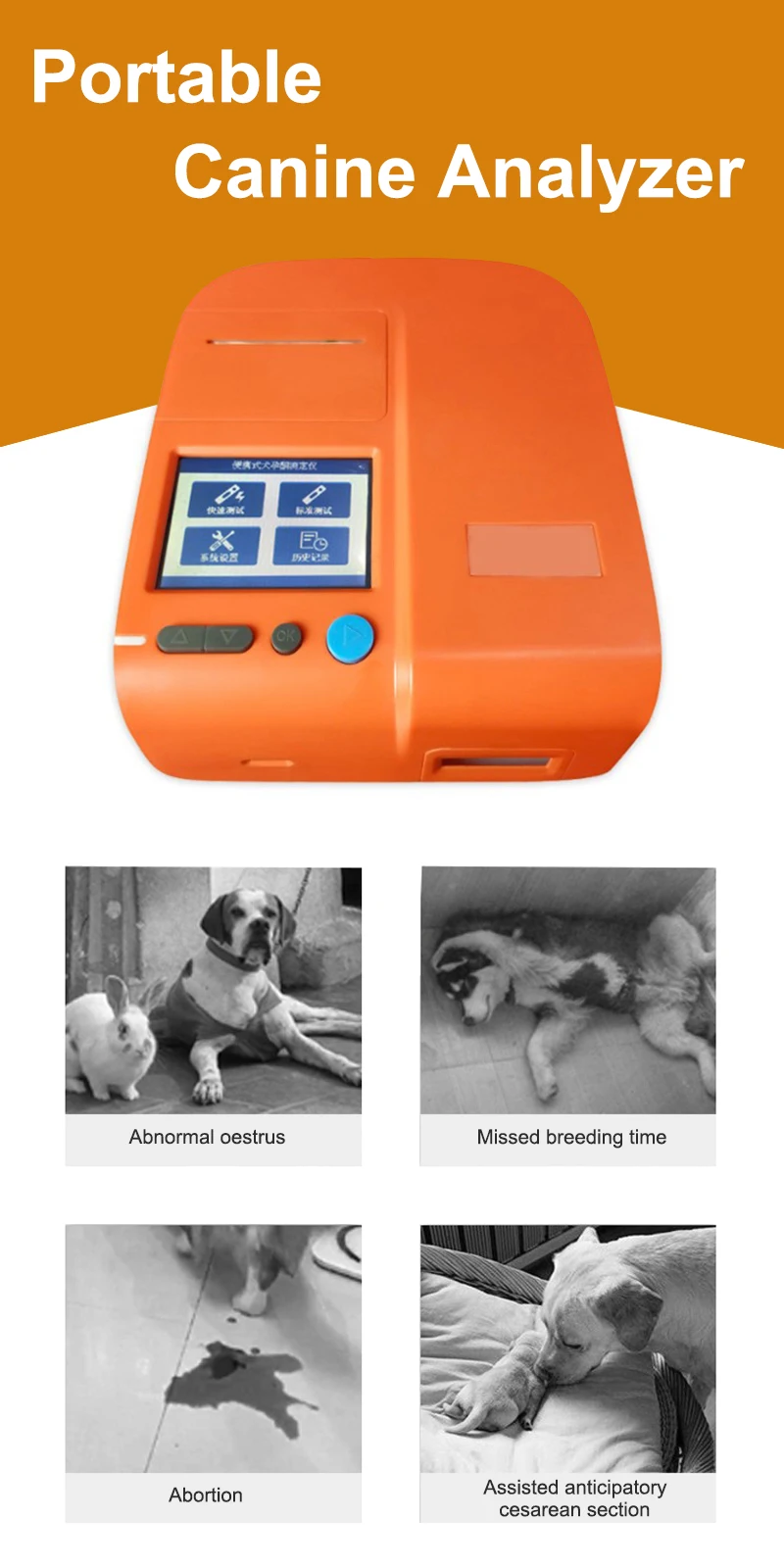 Canine Pregnancy Test Poct Progesteron Dog Test Machine Veterinary ...
