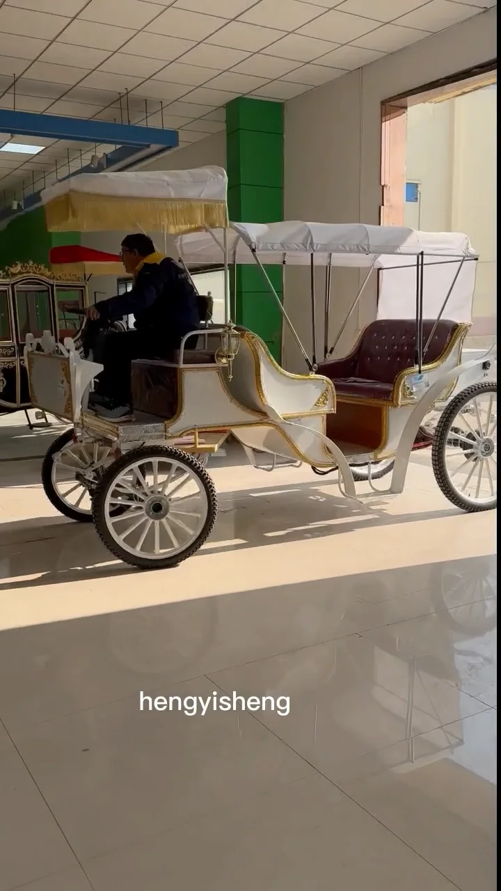 Central Park Christmas Horse-drawn Carriages/english Style Princess ...