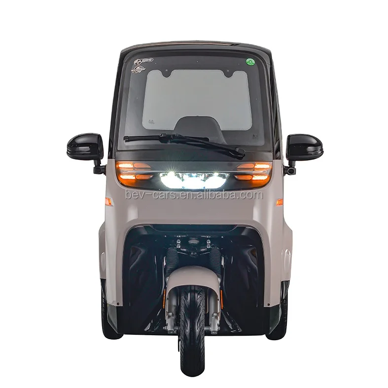 Electric Tricycles EEC L2e - Utility EV Scooter Tricycle